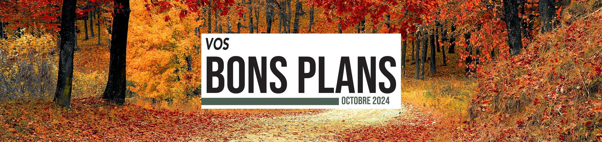 slide-bp-octobre-2024 – Poitou Boissons