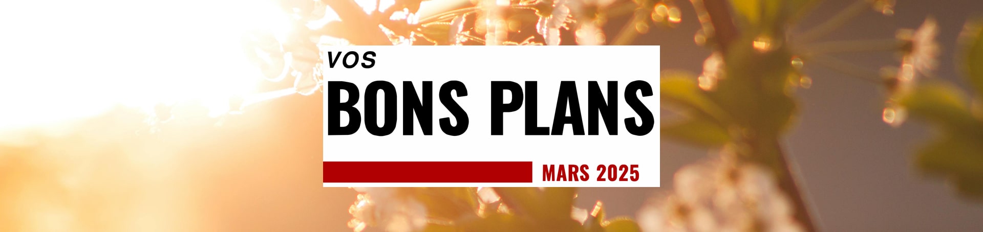 Slide-BP-Mars-2025 – Poitou Boissons