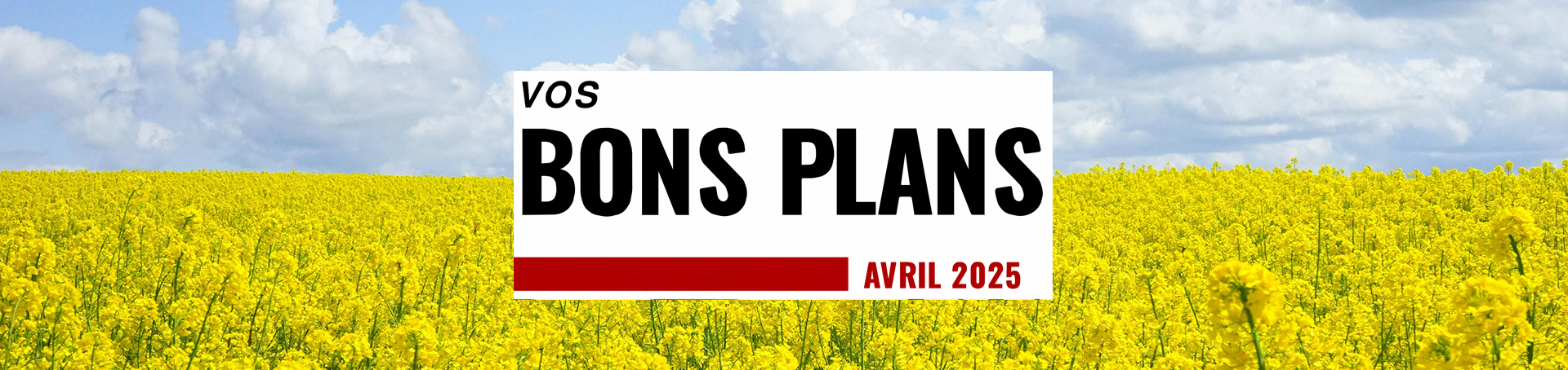 slide-bp-avril-2025 – Poitou Boissons